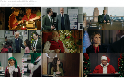 The 12 Days of Christmas Eve.2022.2.0 WEBDL preview - DmT img Host